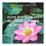 Best Things to do in Nara in One Day - Hana's Travel Journal